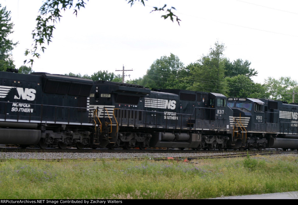 NS 8317